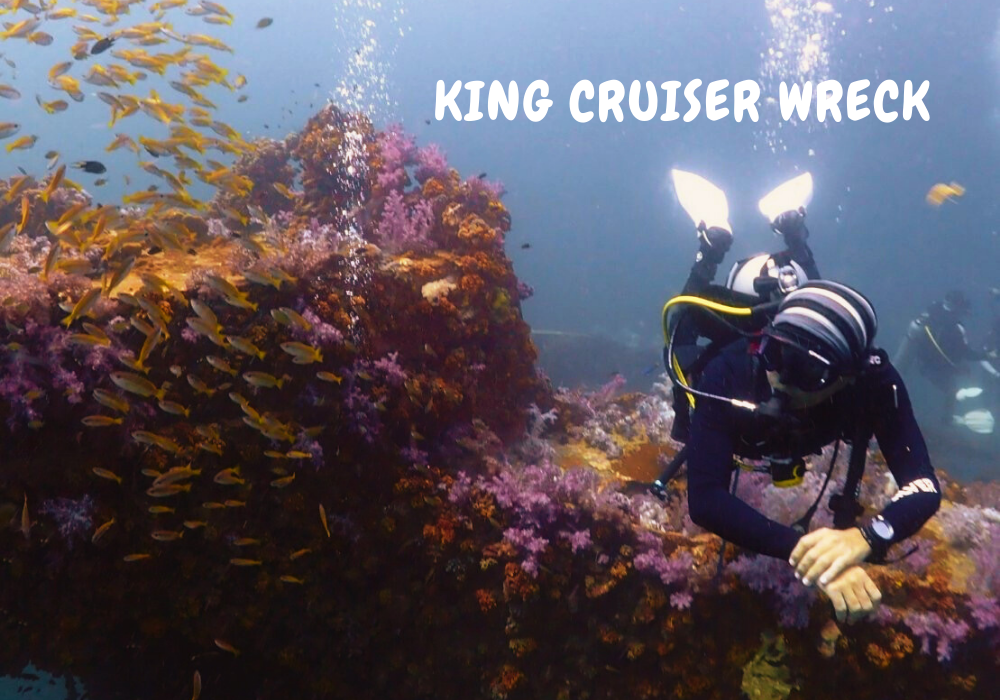Diving King Cruiser Wreck - Nice Dive
